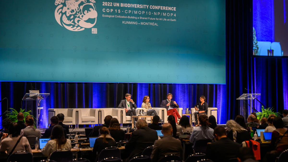 COP15: the two horsemen of the apocalypse